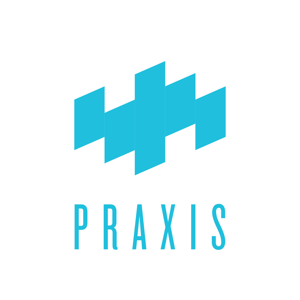 Praxis - New Voices Foundation